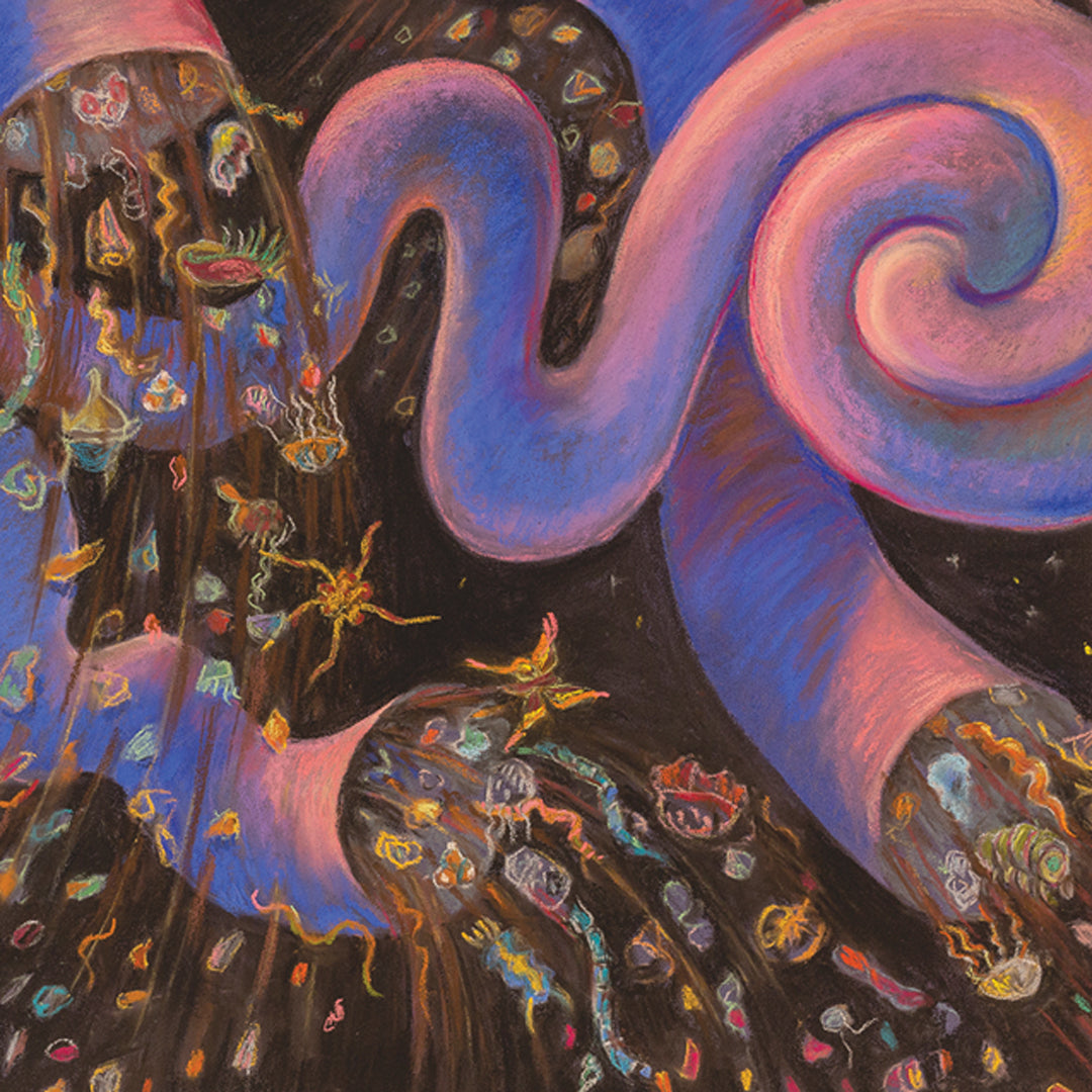 Artist Members – Ashland Gallery Association