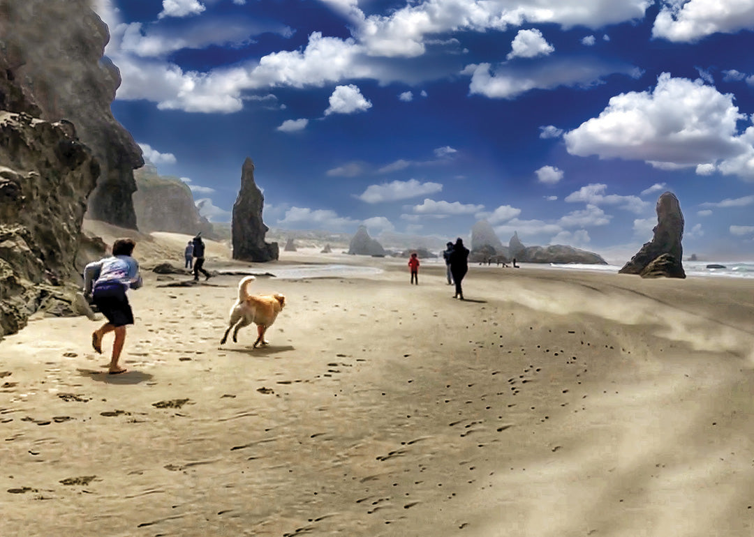 Leibowitz, Dave – Ashland Gallery Association